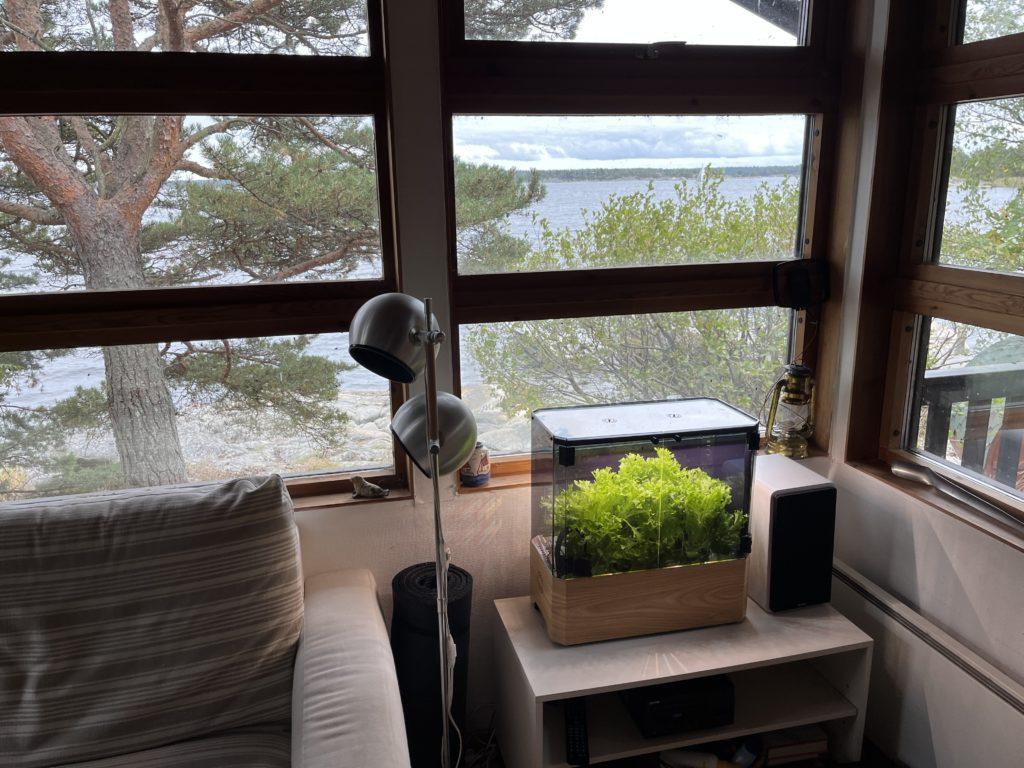 Smart Garden IoT Project | Innowise