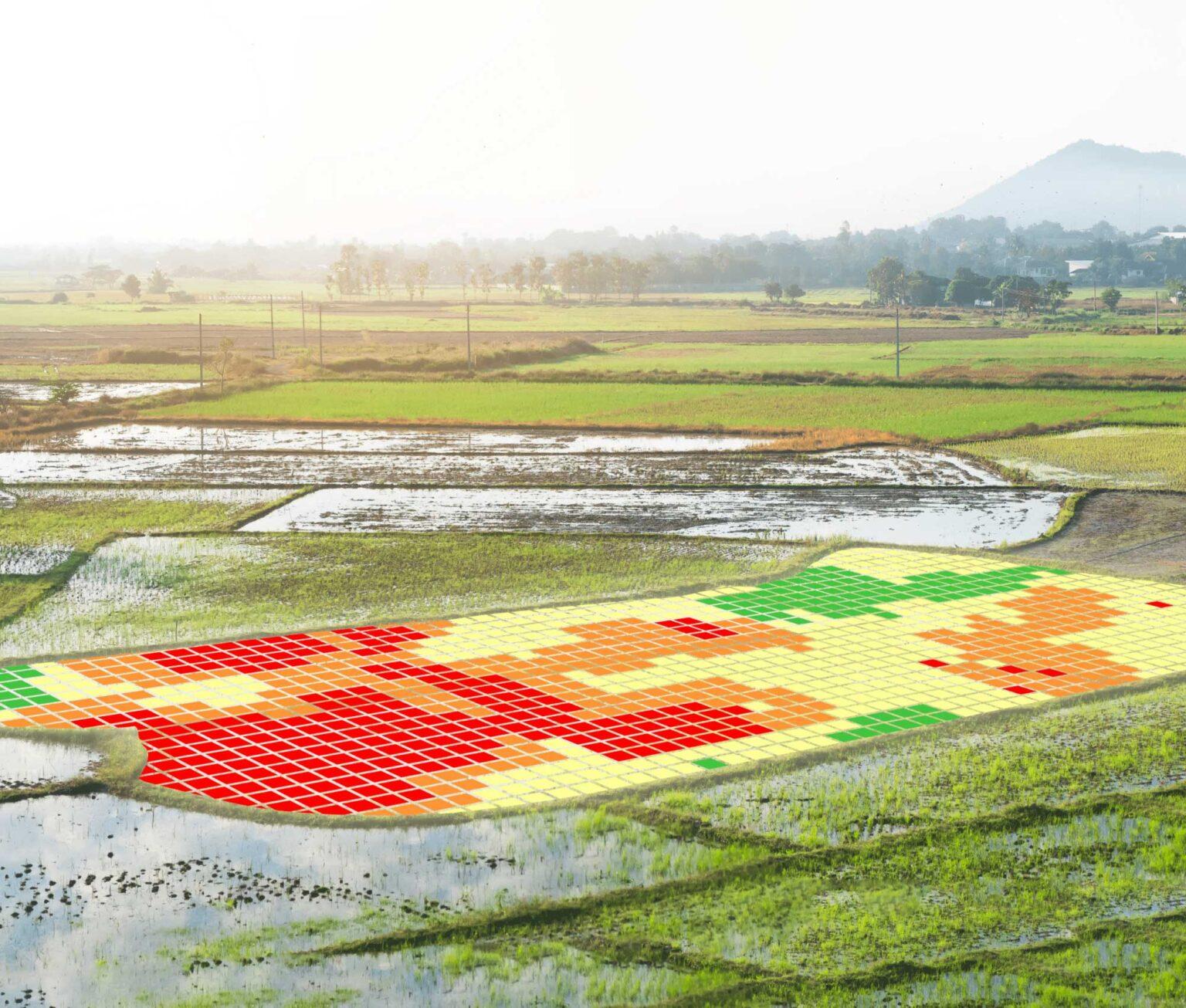Machine Learning Solution in Agriculture | Innowise Case Study
